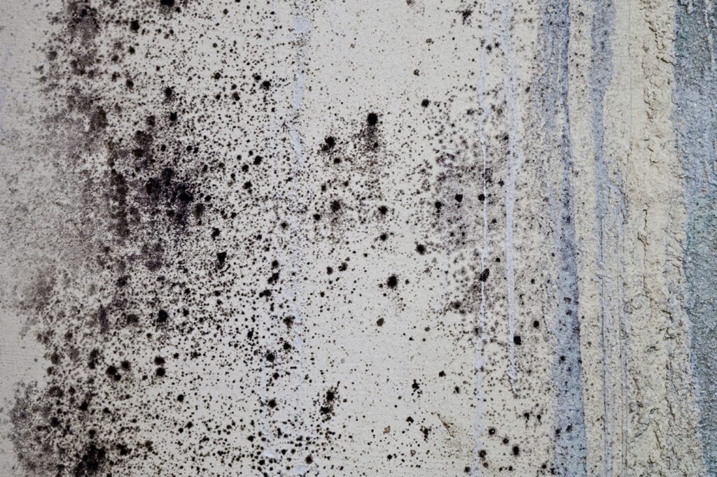 Texas Storm Damage Repair and Restoration - Parks Plaster & Stucco